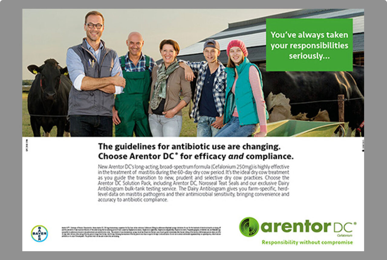 Animal Health - Contenti Corporation